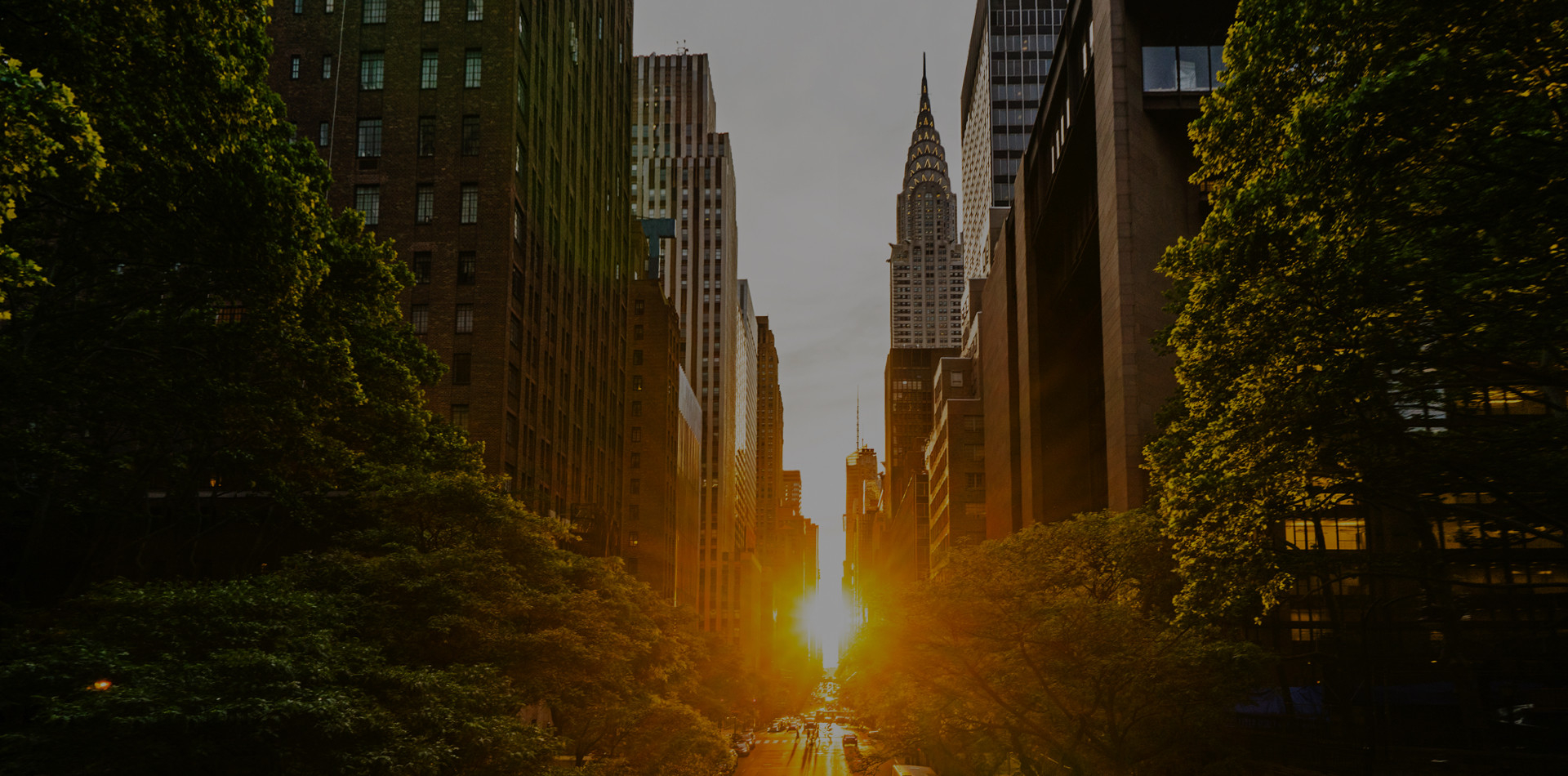 Tarter Krinsky & Drogin — Attorneys at Law